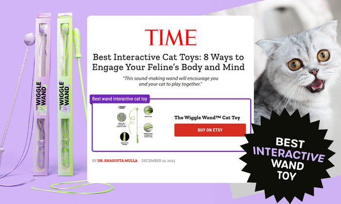 The Wiggle Wand Cat Toy Named Best Interactive Wand Toy by Time Magazi