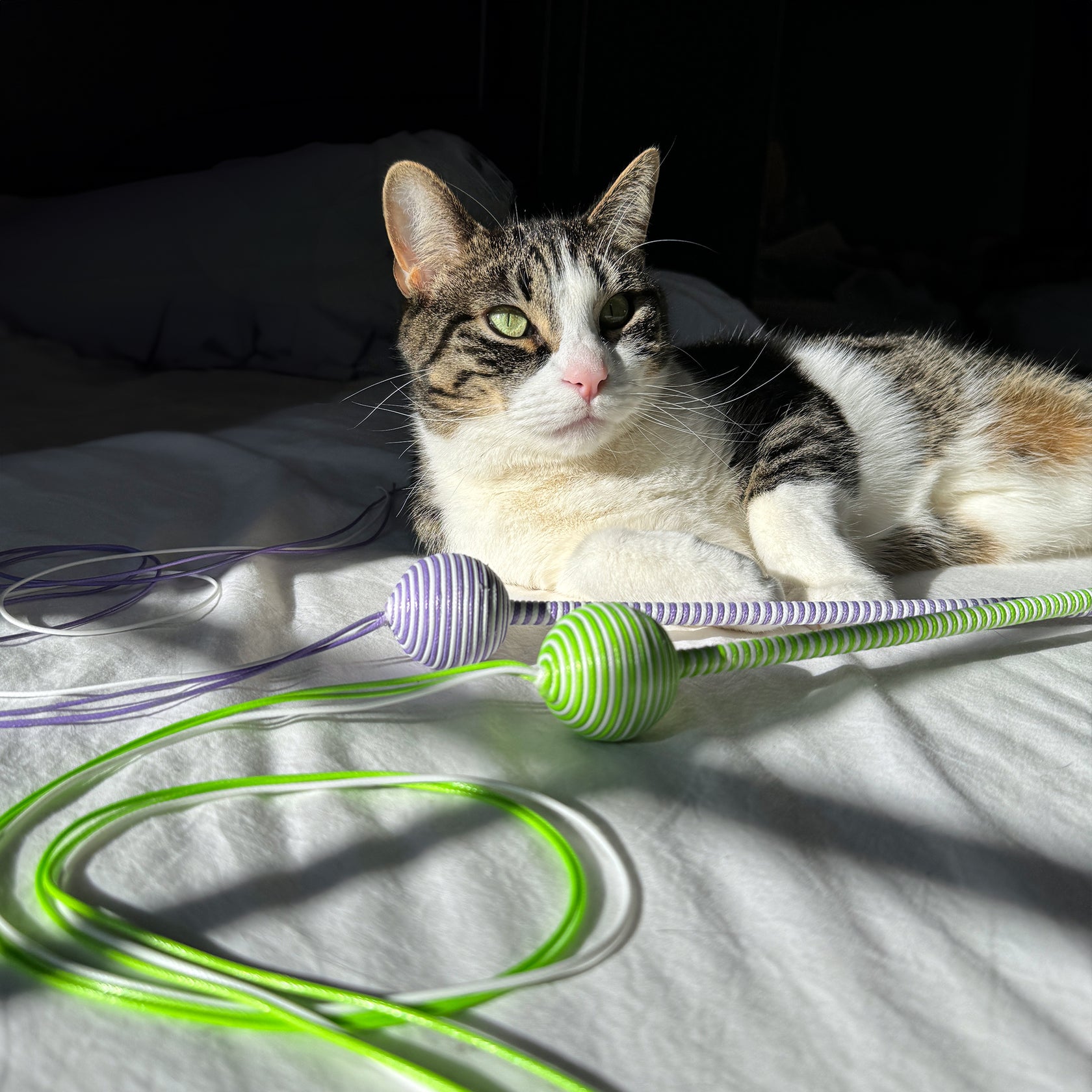 The Wiggle Wand™ Cat Toy – Interactive Wand Teaser Toy with Rattle ...